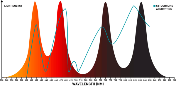 Illuminate Your Health: Discover the Optimal Wavelengths for Red Light ...